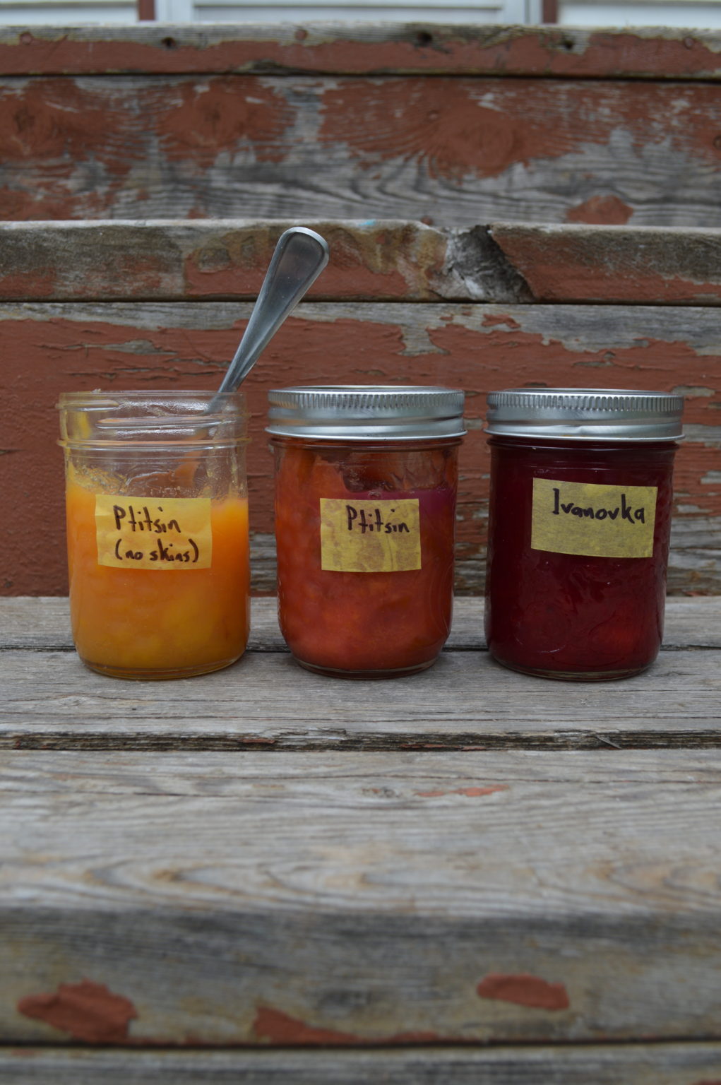 Plum Jam with Japanese Plums Prunus salicina | Button Soup